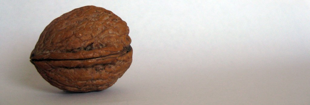 The Gospel In A Nutshell! – Learning With Lovell